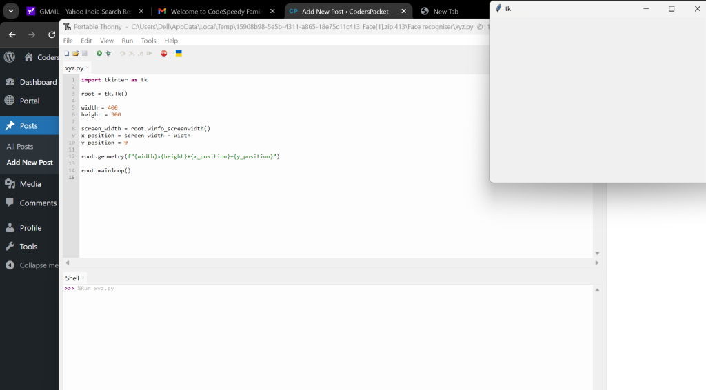 How to set Tkinter window at a specific position