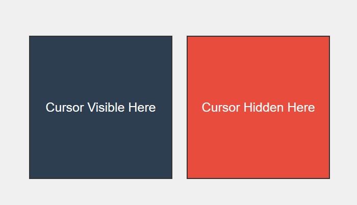How To Hide Cursor Using Javascript