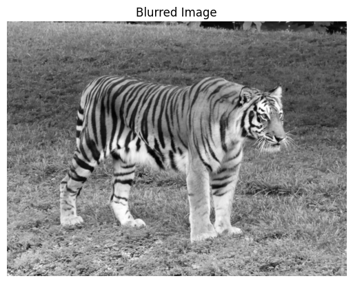 Edge Detection in Images Using Canny Edge Detection