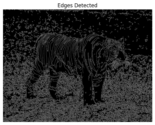 Edge Detection in Images Using Canny Edge Detection